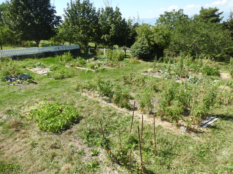 Jardins partagés - Mairie Archamps